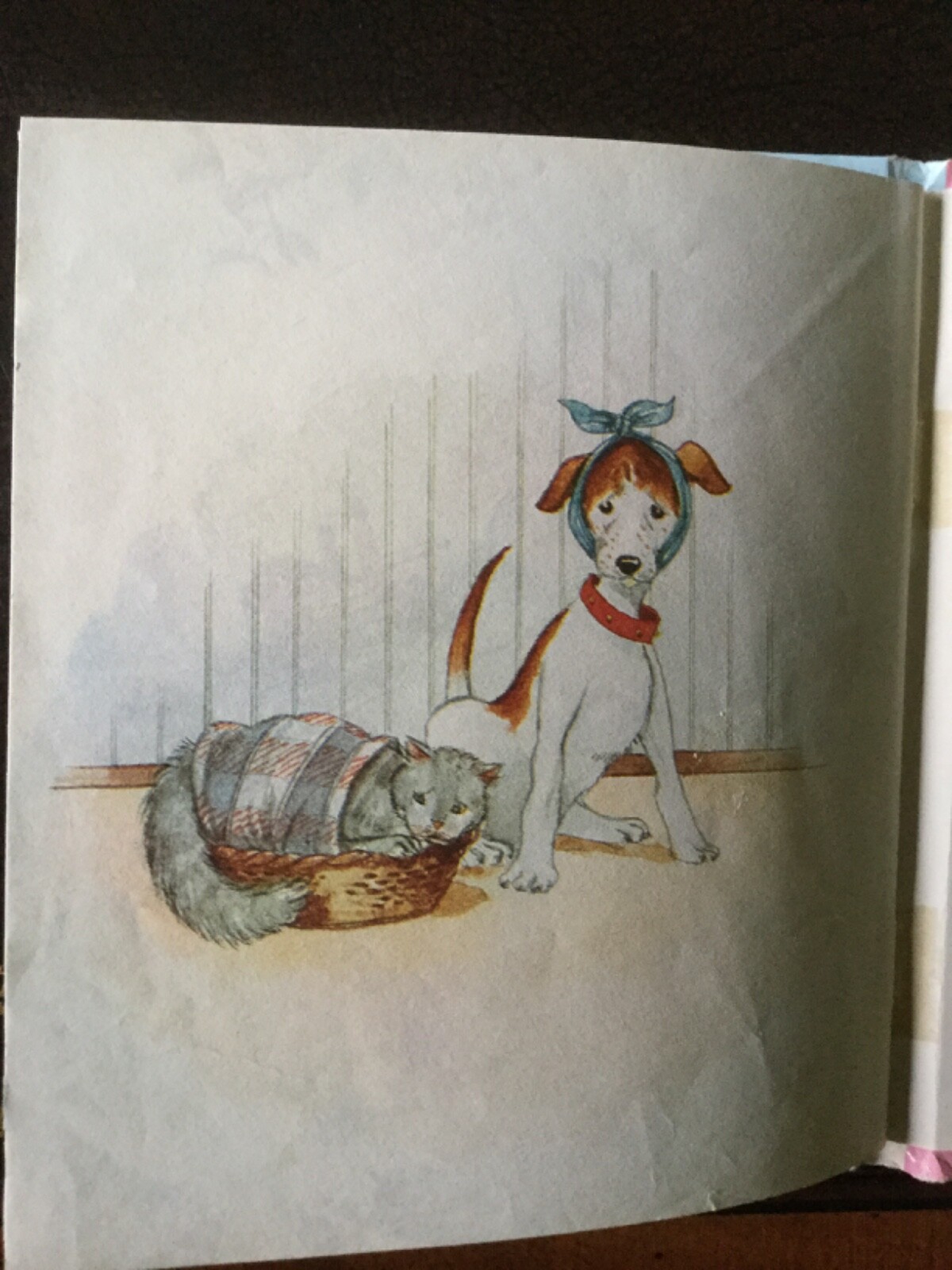 Toby Bunny’s Secret Hiding Place & Dr. Hilda Makes House Calls,Golden ...