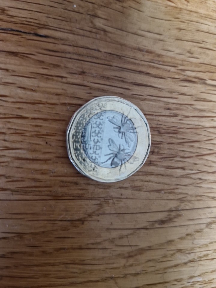 2025 King Charles Bee 1 Pound Coin | eBay