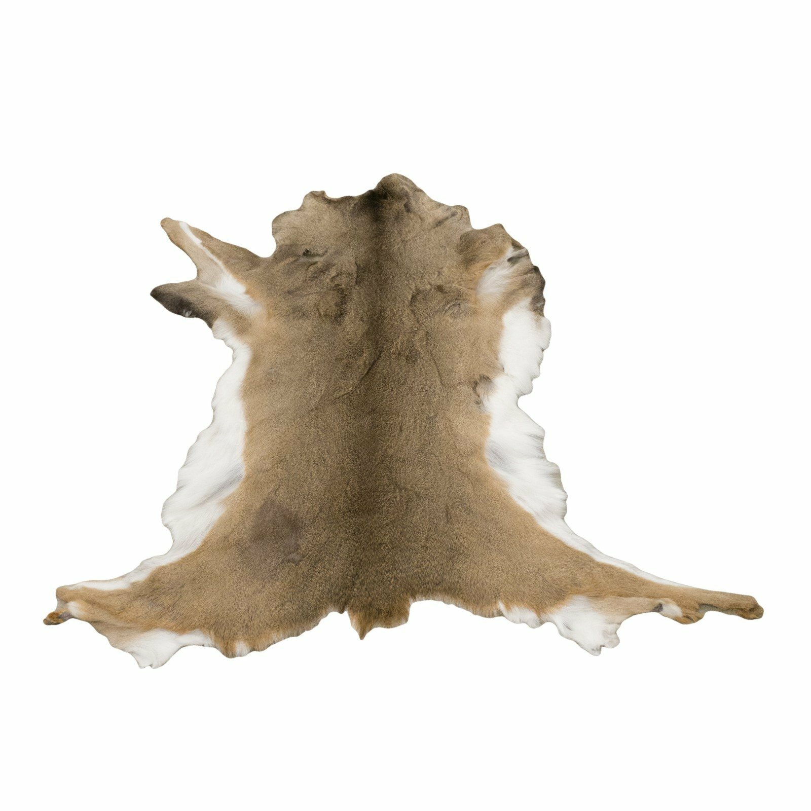 Deerskin Hair On Hide Full Deer Hide Soft Rug Pelt | eBay