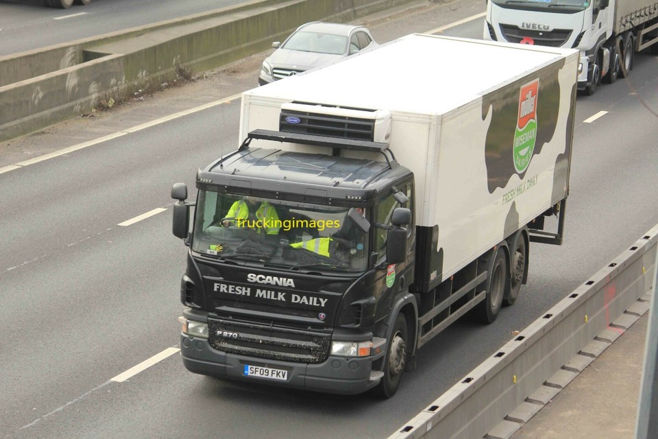 TRUCKINGIMAGES TRUCK PHOTOS - MILK TPT MULLER WISEMAN MMID TRUCKS - 250 ...