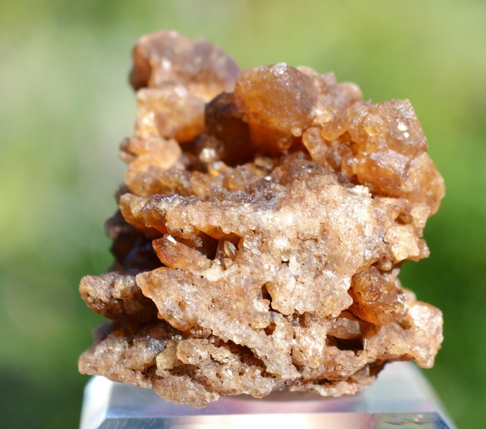 Citrin Natürlich Non-Chauffée 49 Gramm - Alnif Cercle, Tinghir, Marokko ...