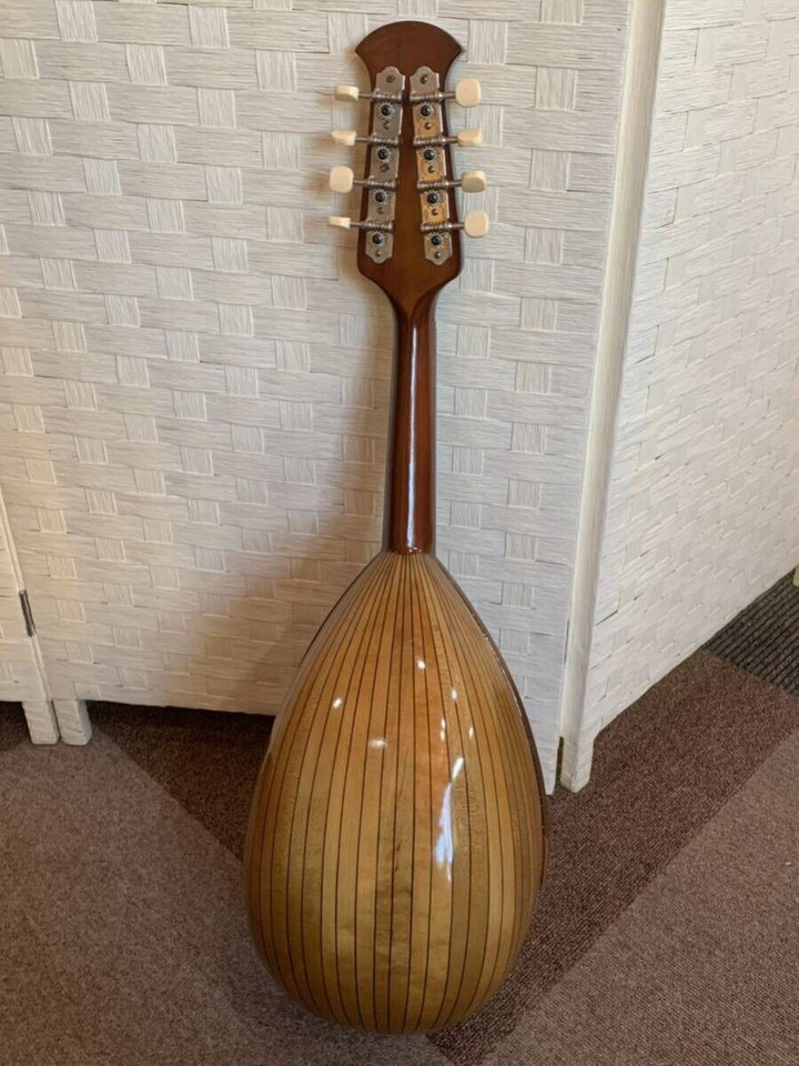 Suzuki Mandolin M-210 Brown Bowlback Entry Model violin | eBay