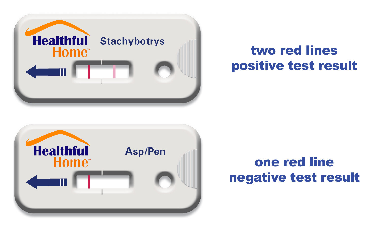Healthful Home 5-minute Mold Test (HH2003) for sale online | eBay