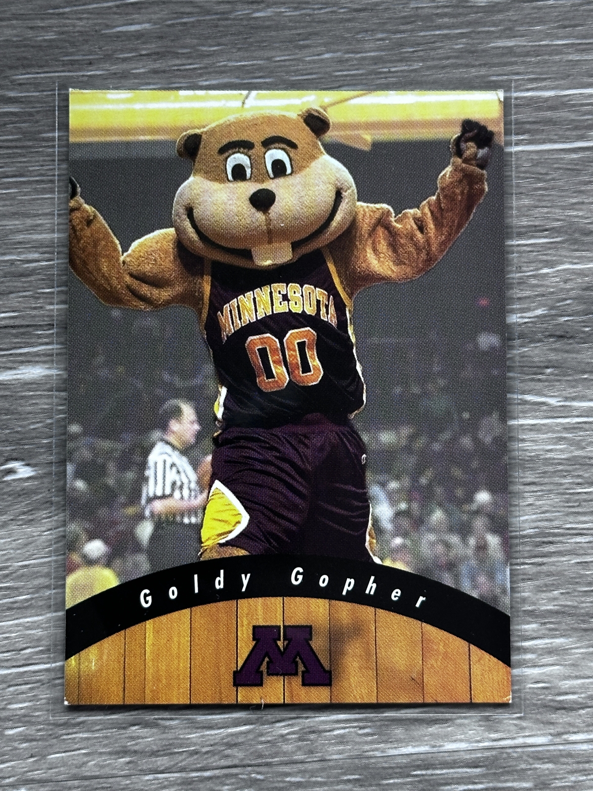 # 00 Goldy Gopher University Of Minnesota Gophers 1998-1999 Big Ten ...