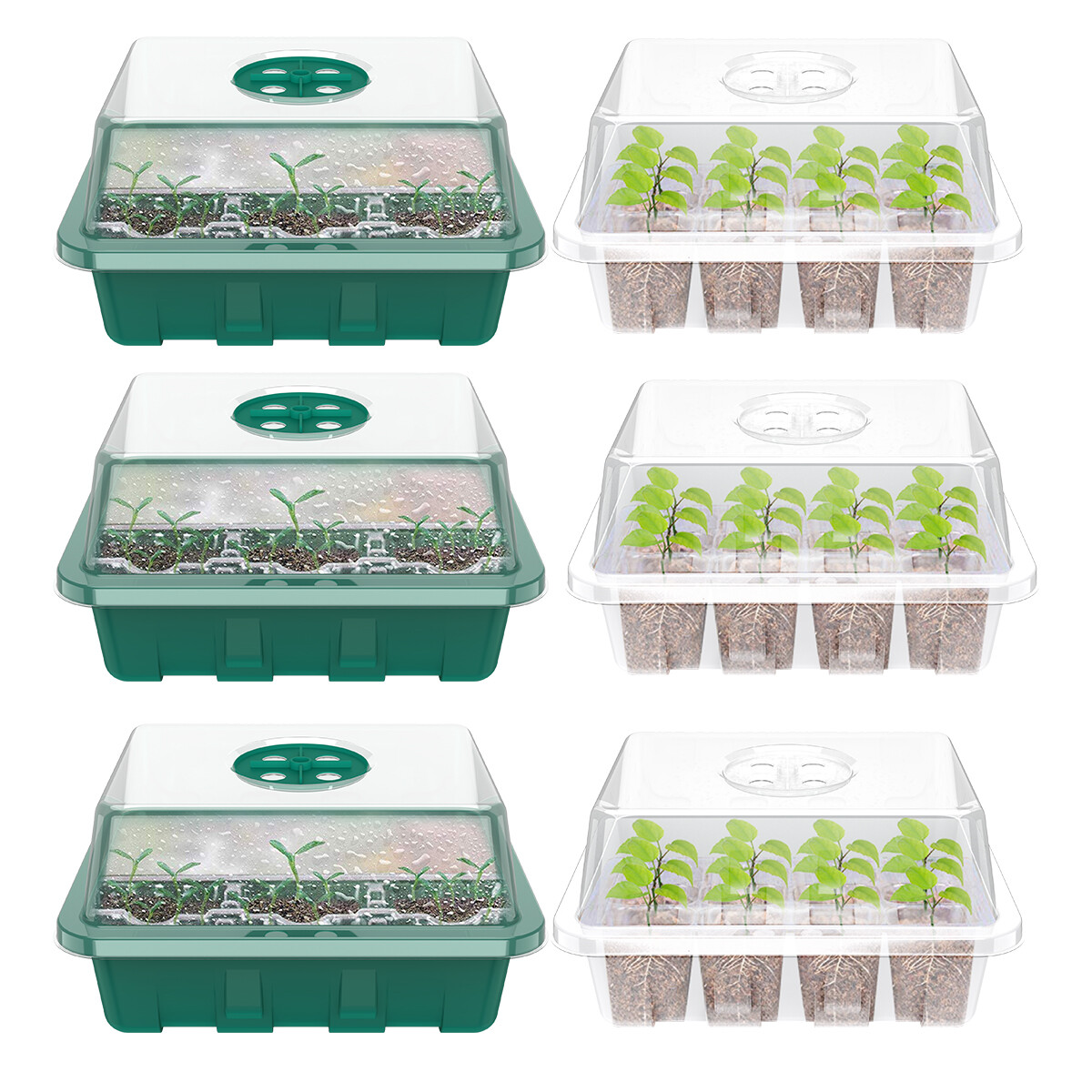 12 Holes Seed Starter Tray Kit with Air Outlet Seed Propagator Set with ...