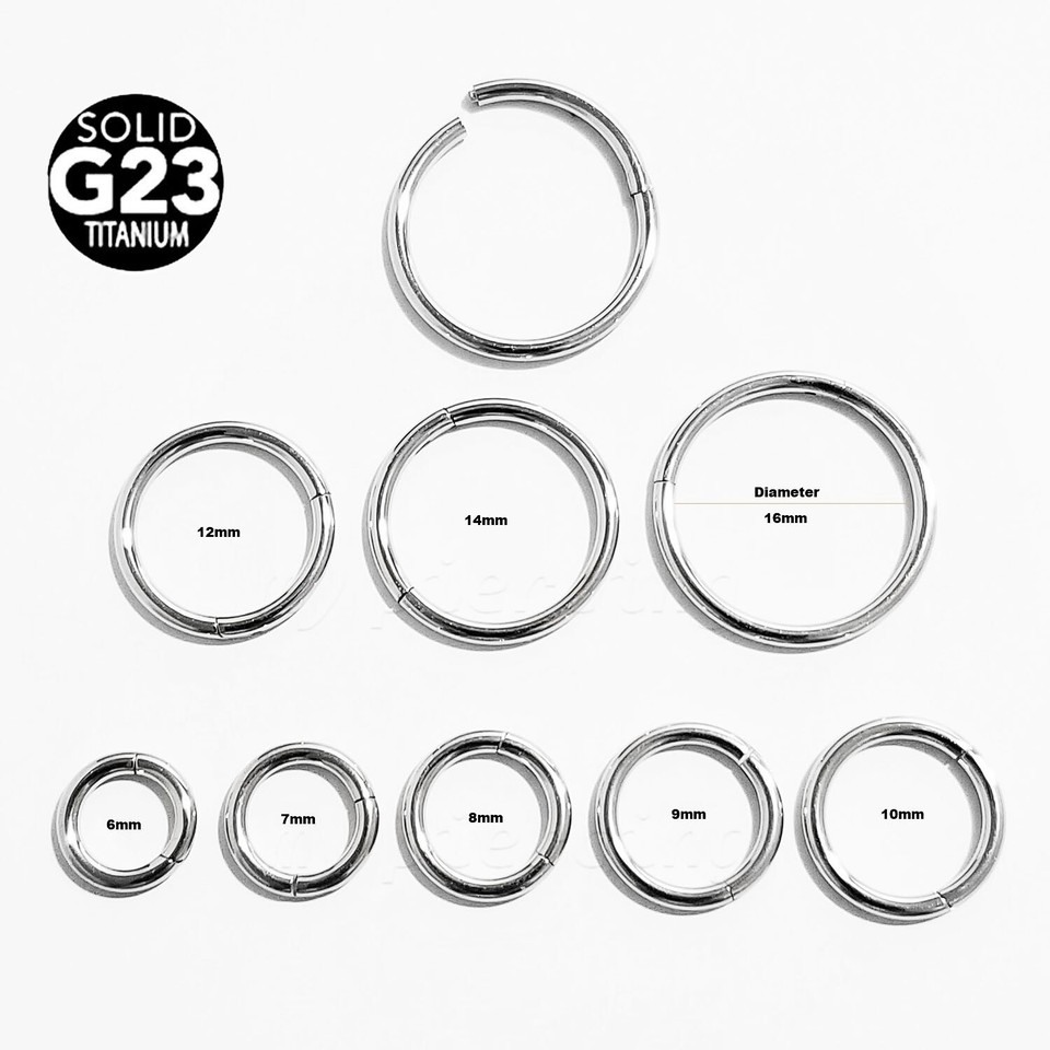 PAIR ASTM F136 G23 Titanium Hinged Segment Ring Clicker Ear & Septum ...