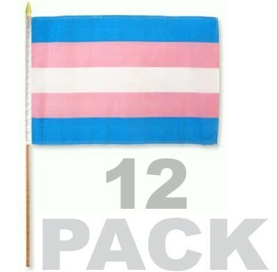 12x18 TRANSGENDER Stick Flag Gay Pride Rainbow Hand Held Flag - Dozen ...