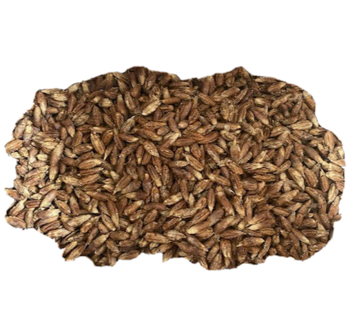 100 grams High Quality!Date Seed /Date Pit Powder ! FRESH! A+ | eBay