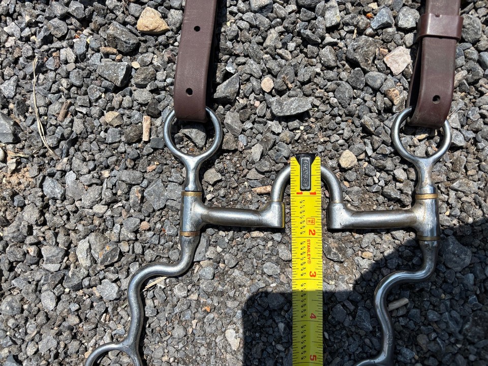 Steve Edwards Beta Headstall for Mule or Donkey – Durable, Adjustable ...