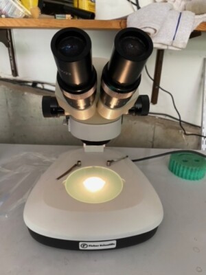 Microscopes - Fisher Scientific Stereomaster