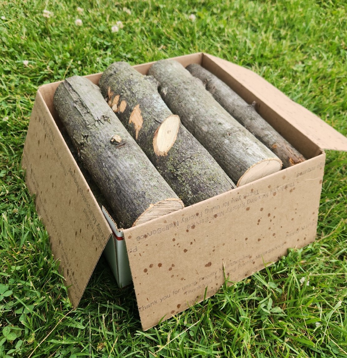 Rough Cut All Natural Hickory Wood Logs BBQ/GRILLING/SMOKING/CRAFTS 15 ...