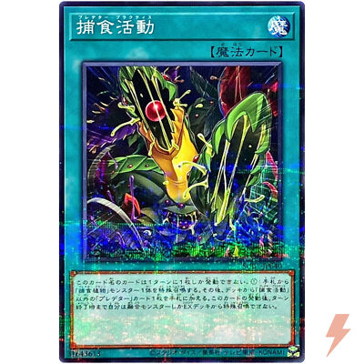 Predapractice - Normal Parallel SUB1-JP040 Secret Utility Box - YuGiOh Japanese | eBay