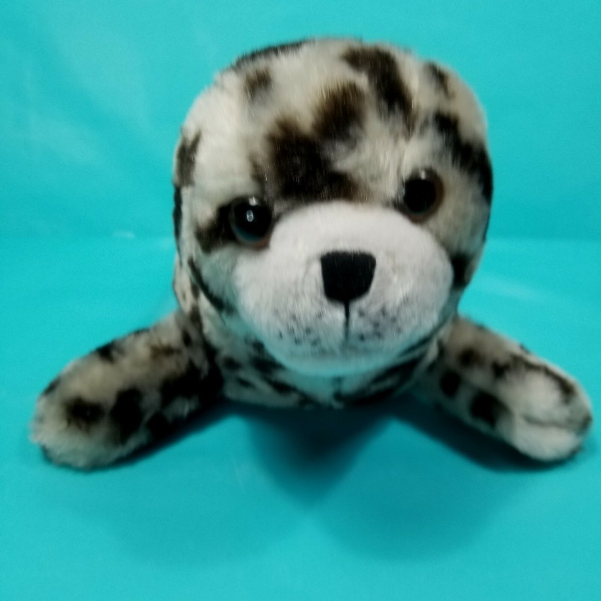 Baby Leopard Seal Pups