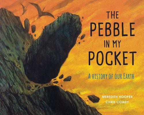 Meredith Hooper The Pebble in My Pocket (Taschenbuch) (US IMPORT ...