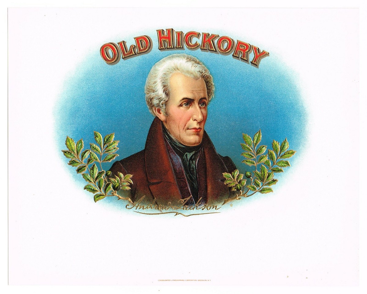 Andrew Jackson Hamilton