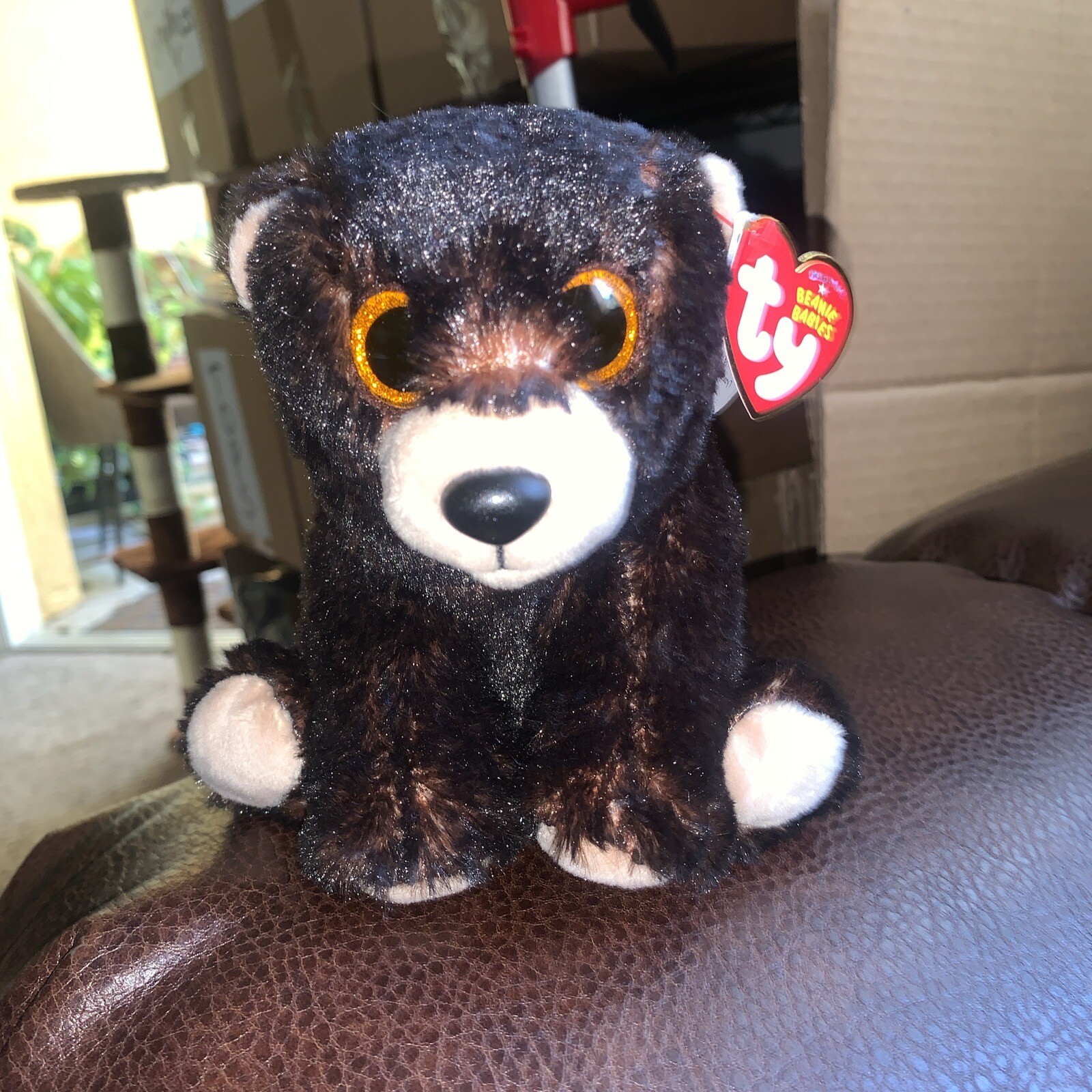 TY Beanie Baby 6" Kodi Alaskan Kodiak Black Bear Plush Stuffed Animal ...