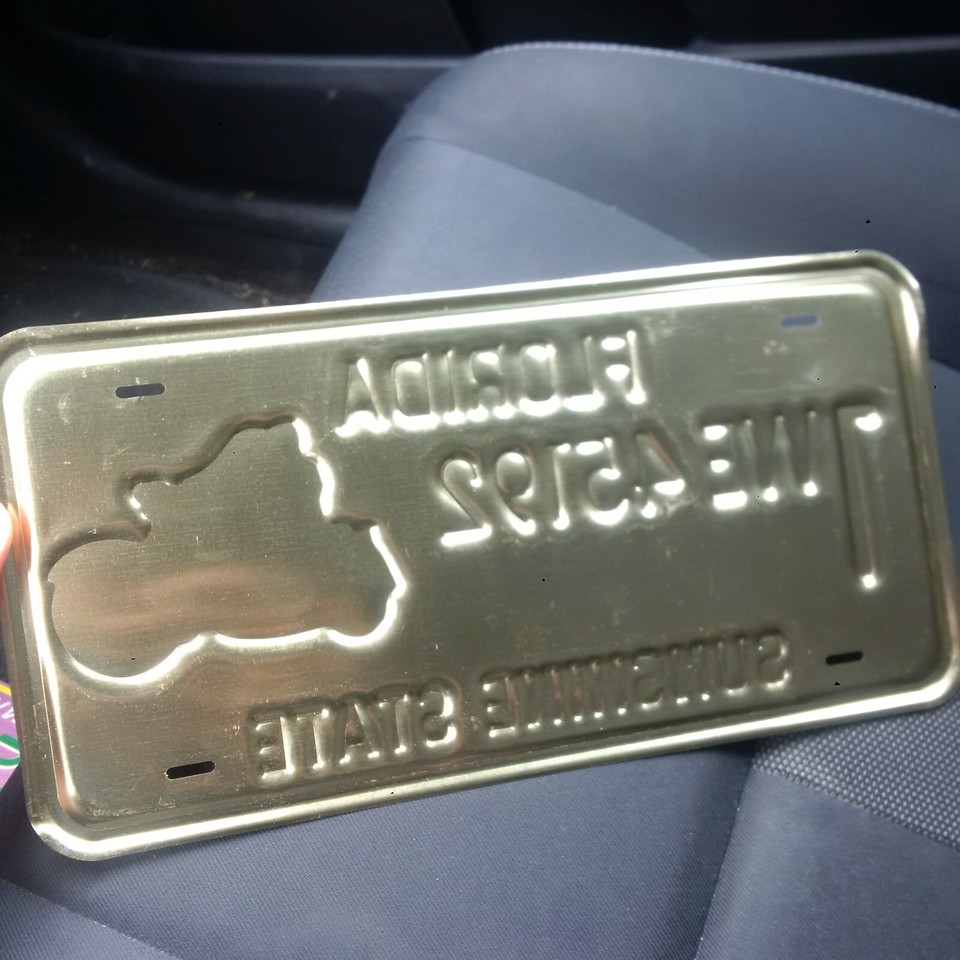 rare replica special graphic license plate Florida moto Daytona | eBay