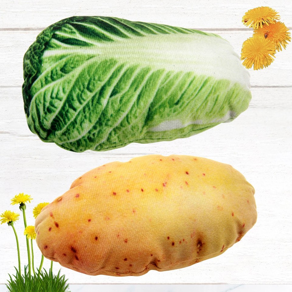 2 PCS Puppy Biting Toys Food Chew for Puppies Fruits and Vegetables ...