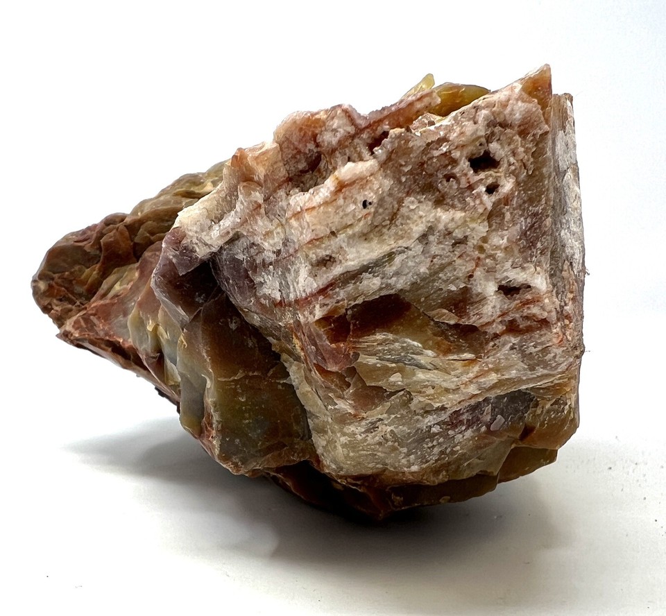 Loose Natural Stone - United States: Raw Petrified Wood RARE Agatized ...