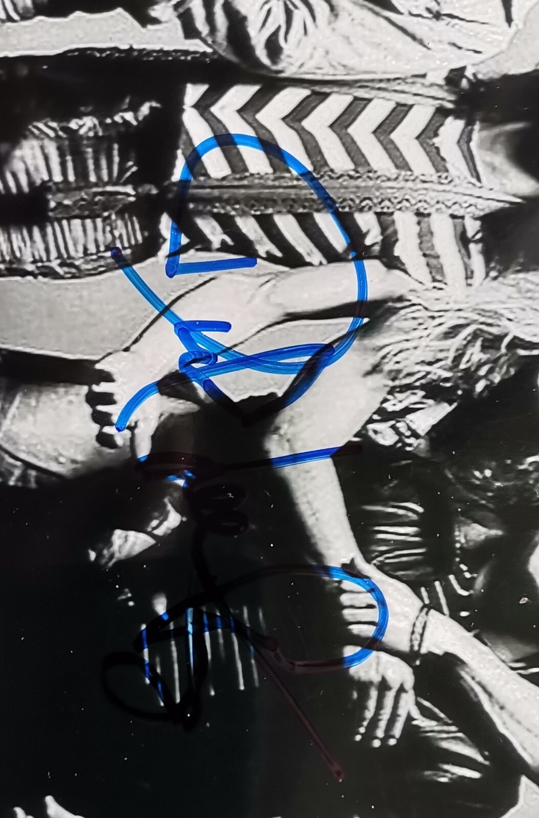 David Lee Roth, Van Halen, Signed Autograph Photo | eBay