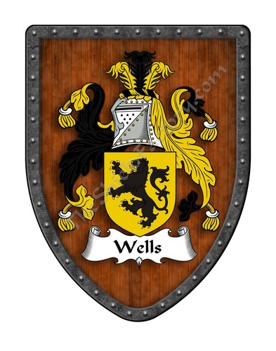 Wells Family Crest Coat of Arms Hanging Shield SH503P-DG-HG | eBay