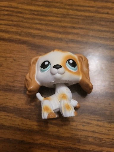 Pin On Littlest Pet Shop, 41% OFF | www.pinnaxis.com