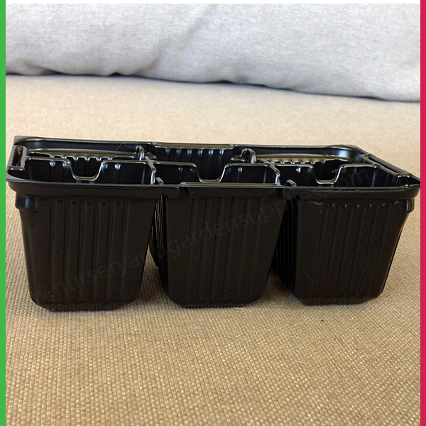 6 cell Seedling Punnet Metric Black (CM6/NM6) - BULK - Thermoformed ...