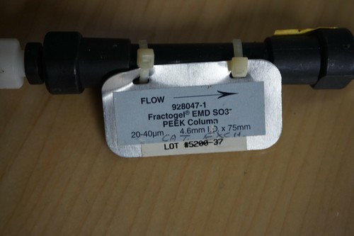 used HPLC column Merck Fractogel EMD SO3- , 4.6 x 75 mm PEEK column ...