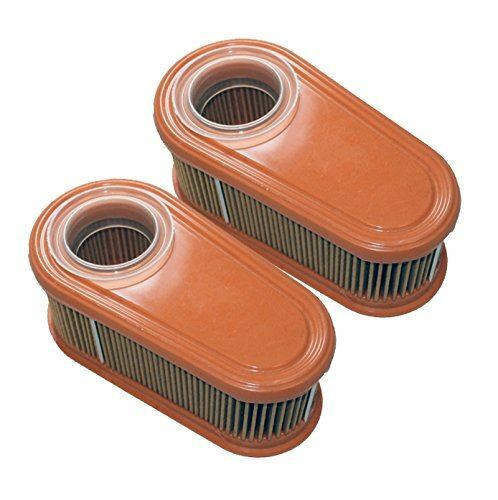 Briggs & Stratton (2 Pack) 795066 Oval Air Filter Cartridge # 795066 ...