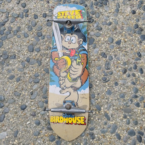 Vintage 90s Steve Nesser Birdhouse Skateboard | eBay