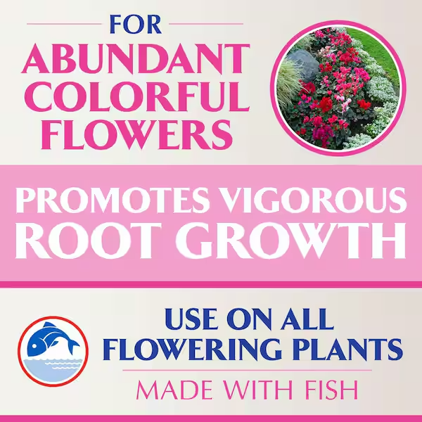 Alaska Morbloom 32 oz. (1 qt.) Liquid Flowering Plant Food Fertilizer ...