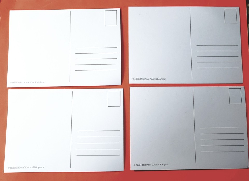 Set 4 Bug Insects Postcards to Color Animal Kingdom Millie Marotta Moth ...