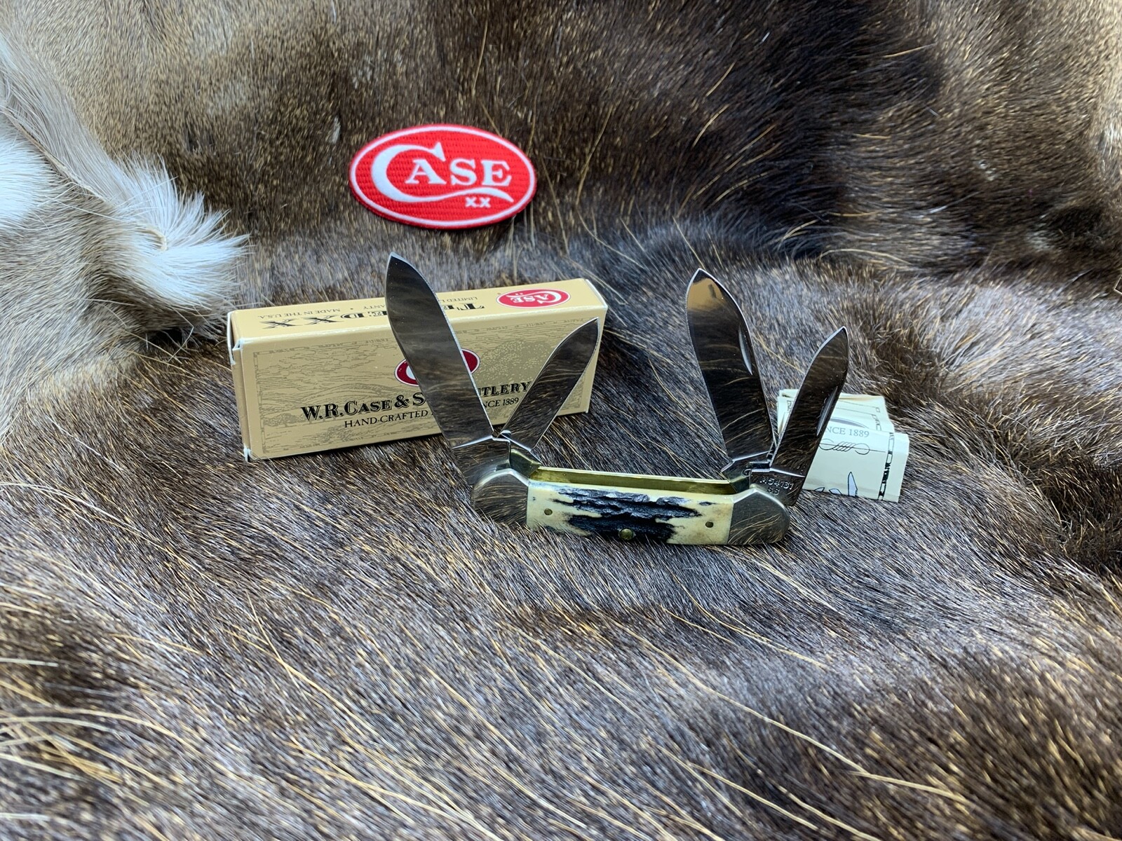 1998 Case Big Chief Canoe Knife Midnight Stag Mint Set - 12A | eBay