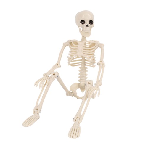 Halloween Home Decor Skeleton Life-size Realistic Full Body Posable ...