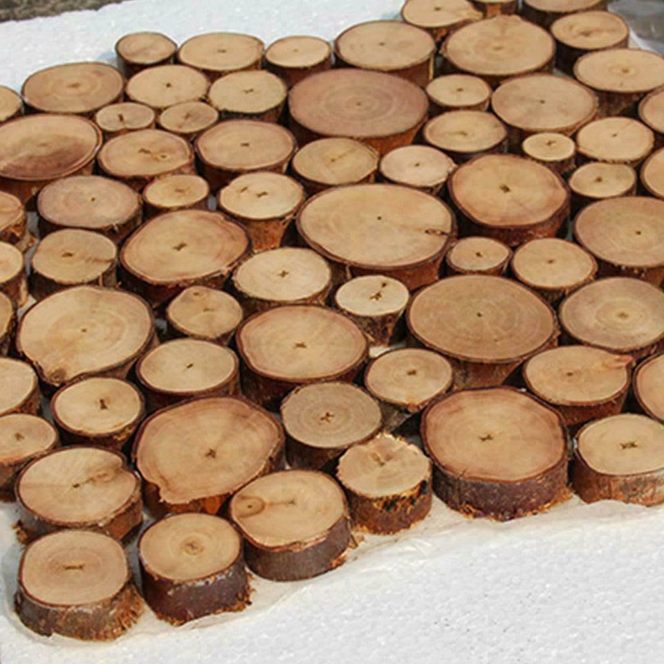 100pcs Natural Pine Wood Slices Round Disc Tree Bark Circ Craft Chips ...