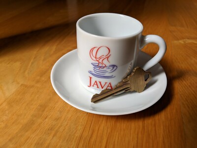 RARE MT Java Sun Microsystems fine porcelain 3oz demi espresso shot glass | eBay