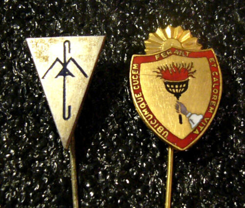 EUROPE OLD LOT 2 CATHOLIC LATIN LAPEL NEEDLE PINS ENAMELED DESIGN ...