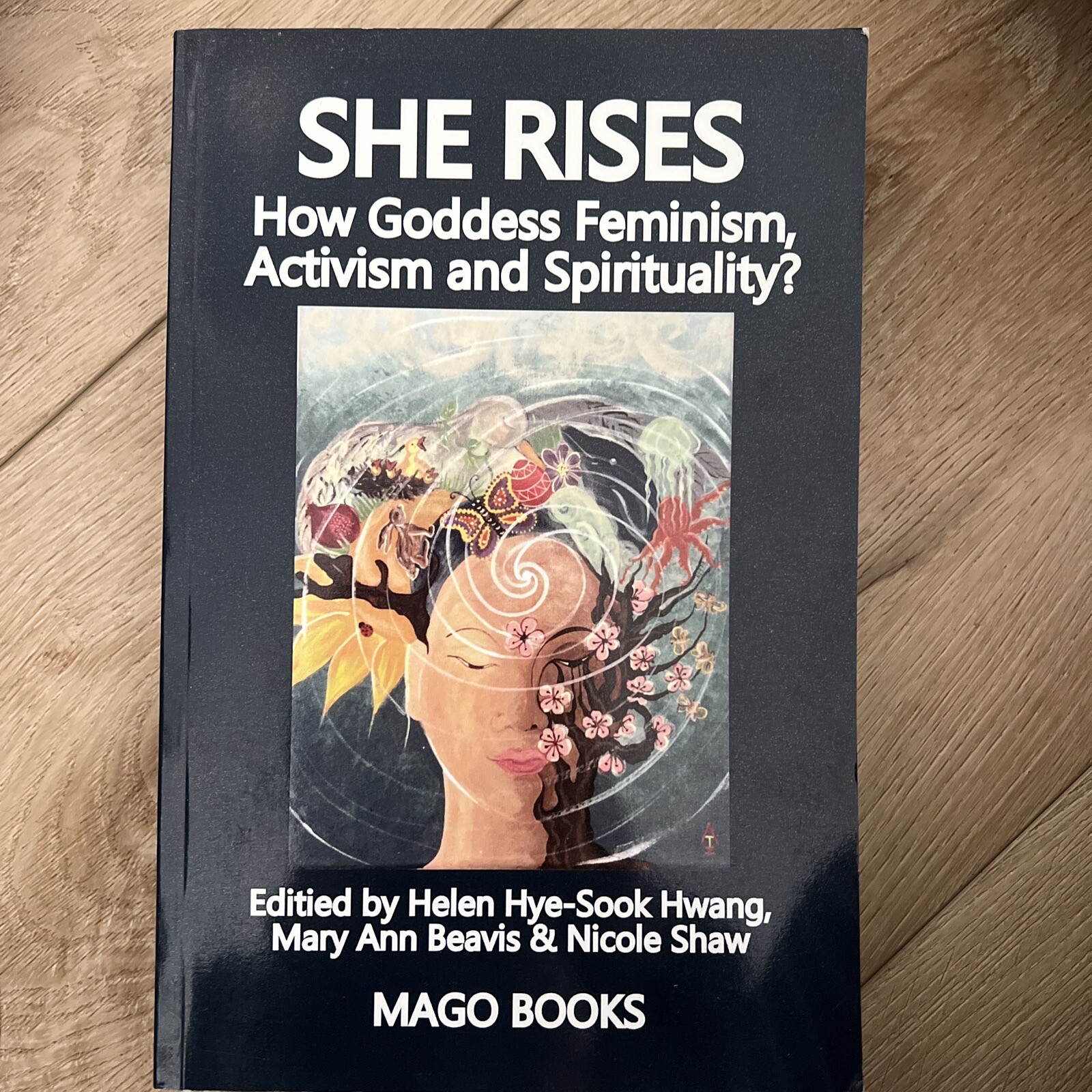 She Rises Ser.: She Rises Volume 2 (Color) : How Goddess Feminism ...