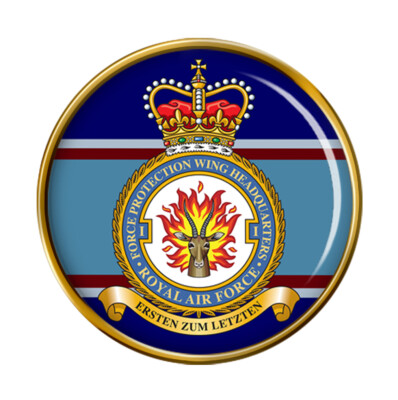 1 Force Protection Wing, RAF Pin Badge | eBay UK