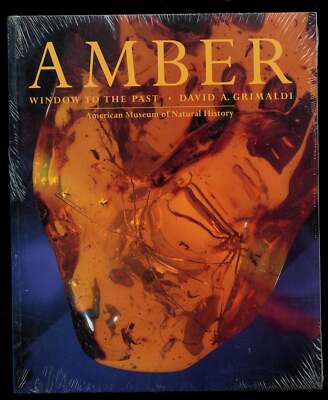 David A GRIMALDI / Amber Window to the Past 1996 | eBay