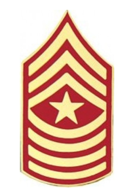 Marine Corps Sergeant Major (SgtMaj / E-9) Rank Insignia Pin - 14394 (1 ...