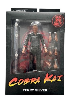 Diamond Select Toys Cobra Kai Terry Silver (Series 2) Deluxe Action ...