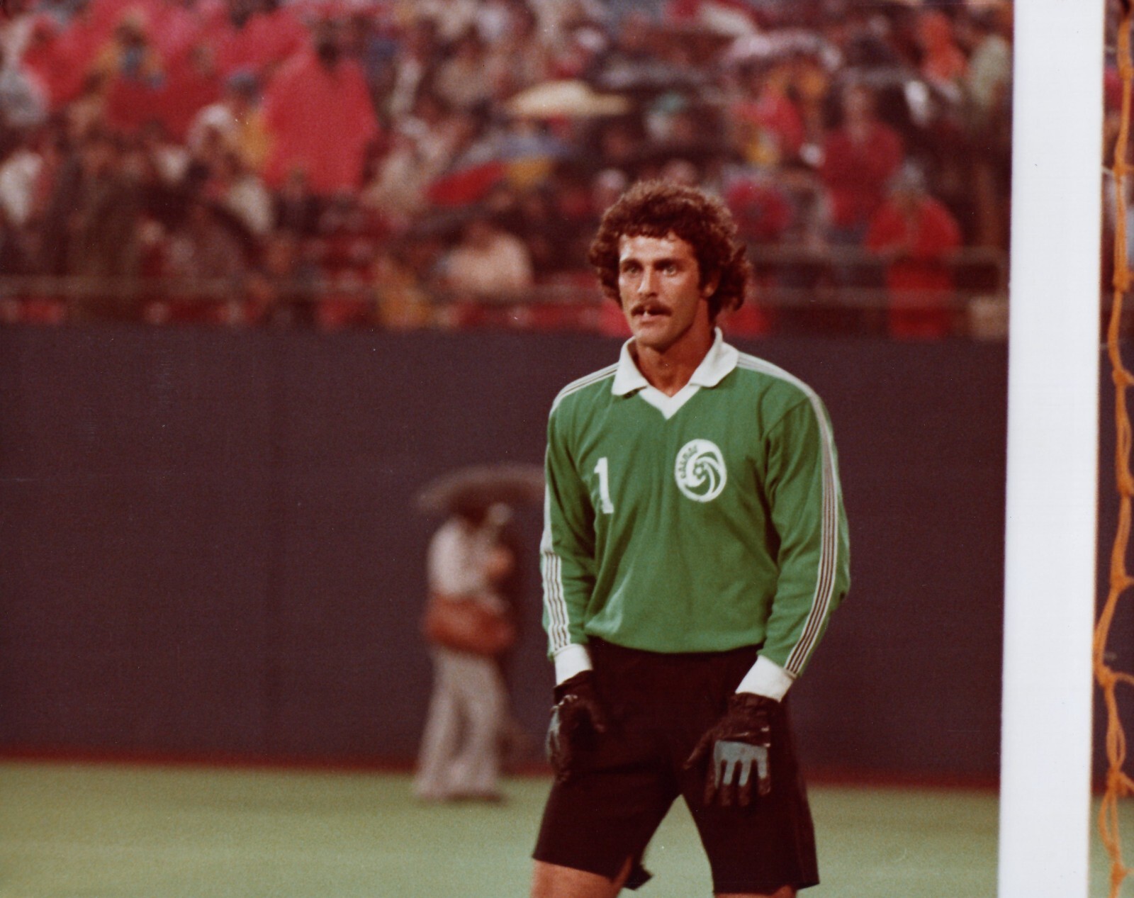 Shep Messing NY Cosmos NASL Original 1970's Vintage 8x10 Photo Played ...