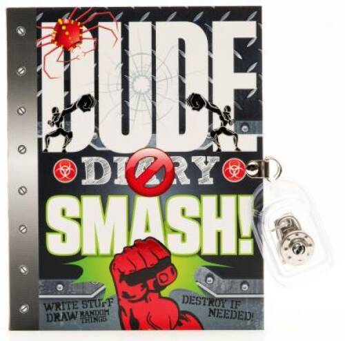 DUDE Diary SMASH! - Paperback By Mickey and Cheryl Gill - GOOD ...