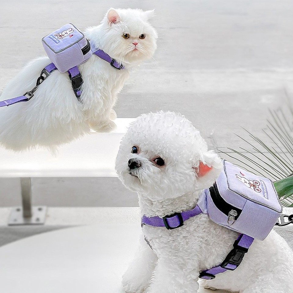 Cartoon Backpack Harness with Leash Cat Backpack Leash Dog Vest-type ...