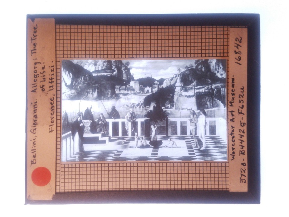 Allegory: The Tree Of Life, Giovanni Bellini, Magic Lantern Glass Slide ...