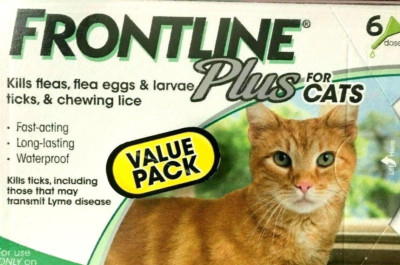 SALE! NEW Frontline Plus CATS Kittens 6 DOSES Authentic Flea + Tick ...
