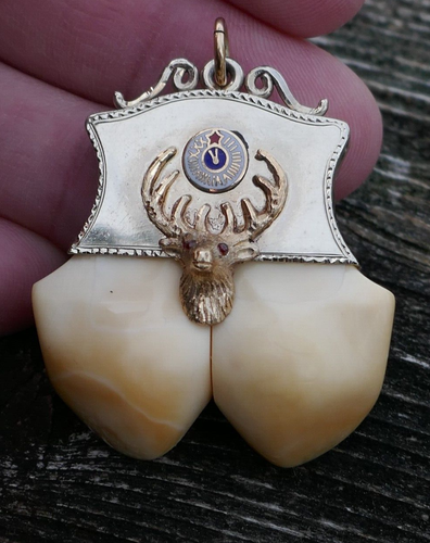 14k White Gold Elks Club Lodge Number 1087 B.P.O.E. Double Tooth Fob ...