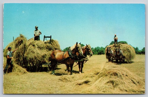 Farming~Workers Loading Hay On Horse Drawn Carts~Vintage Postcard | eBay