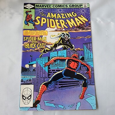 Marvel Amazing Spider-Man #227 Comic Book Spiderman Versus Black Cat FN ...